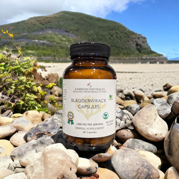 Shop Bladderwrack Capsules | 500MG Vegetable Capsules